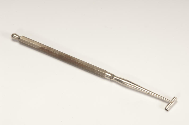 Amalgam carrier - Faculty of Medicine, Dentistry and Health Sciences ...