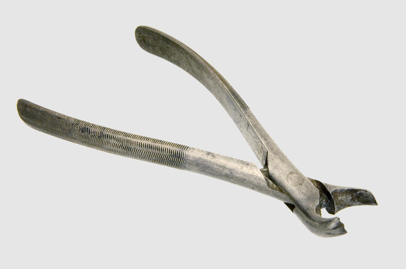 Upper left molar extracting forceps - Faculty of Medicine, Dentistry ...