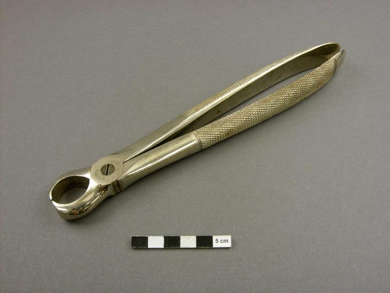 Forceps: bone forceps with circular jaw, straight blades - Faculty of ...