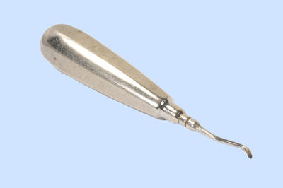 Right hand apical elevator - Faculty of Medicine, Dentistry and Health ...