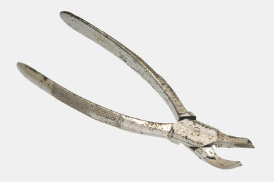 Lower root extracting forceps - Faculty of Medicine, Dentistry and ...