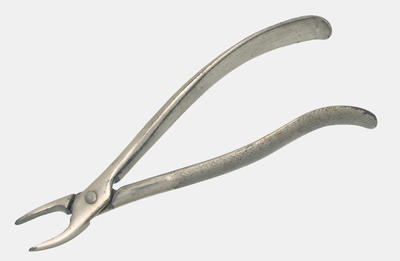 Reed-type forceps - Faculty of Medicine, Dentistry and Health Sciences ...