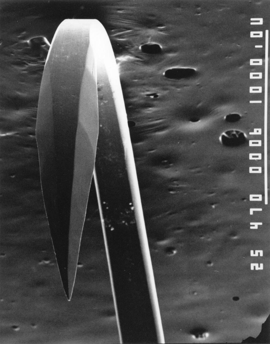 Large SEM photographic print showing hooked tip of microsurgical needle ...