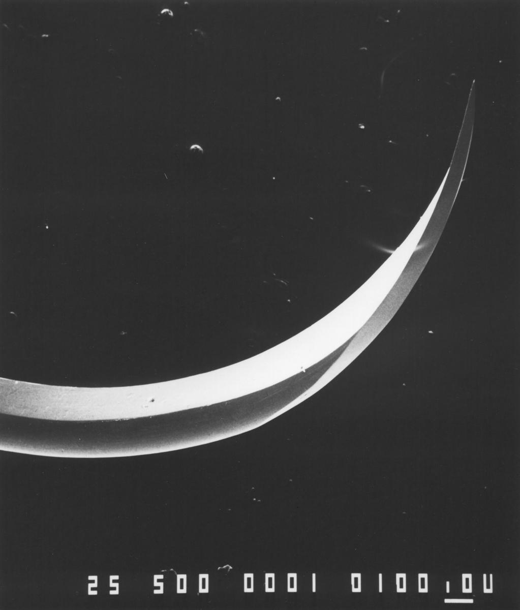 Large SEM photographic print showing curved tip of microsurgical needle ...