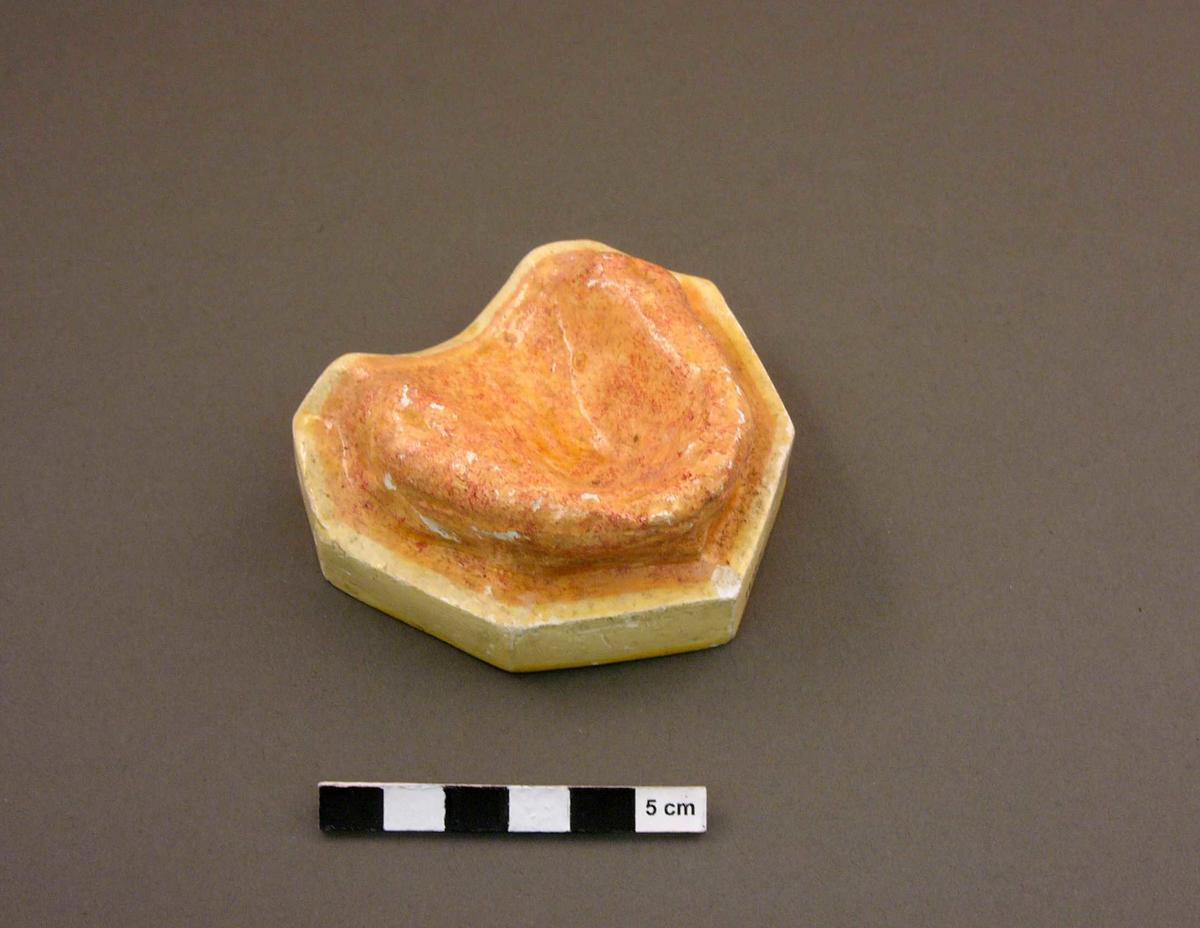 Model of the soft palate, in orange and yellow plaster (2) - Faculty of ...