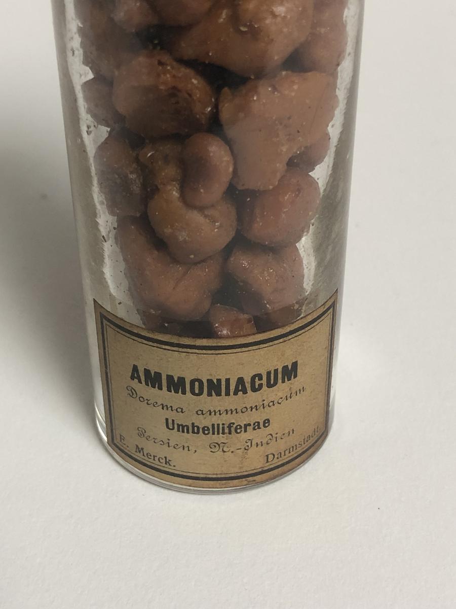 Ammoniacum - Faculty of Medicine, Dentistry and Health Sciences Museums ...