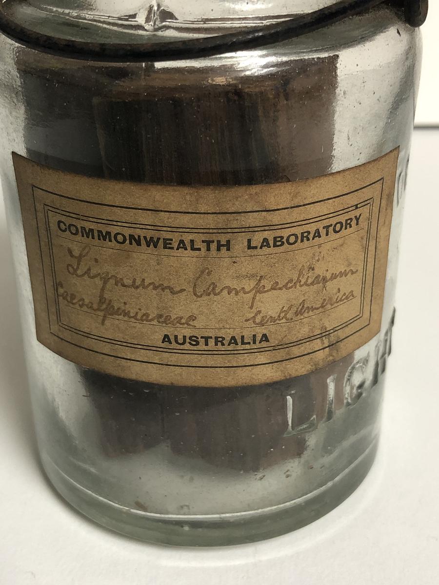 Lignum Campechianum - Faculty of Medicine, Dentistry and Health ...