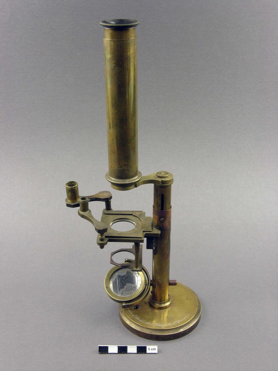 Compound monocular microscope - Faculty of Medicine, Dentistry and ...