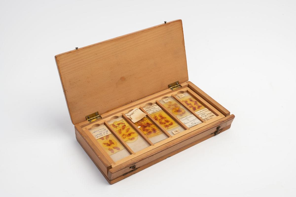Set of slides prepared by Dr J.H. Nattrass (1870-1943) relating to ...