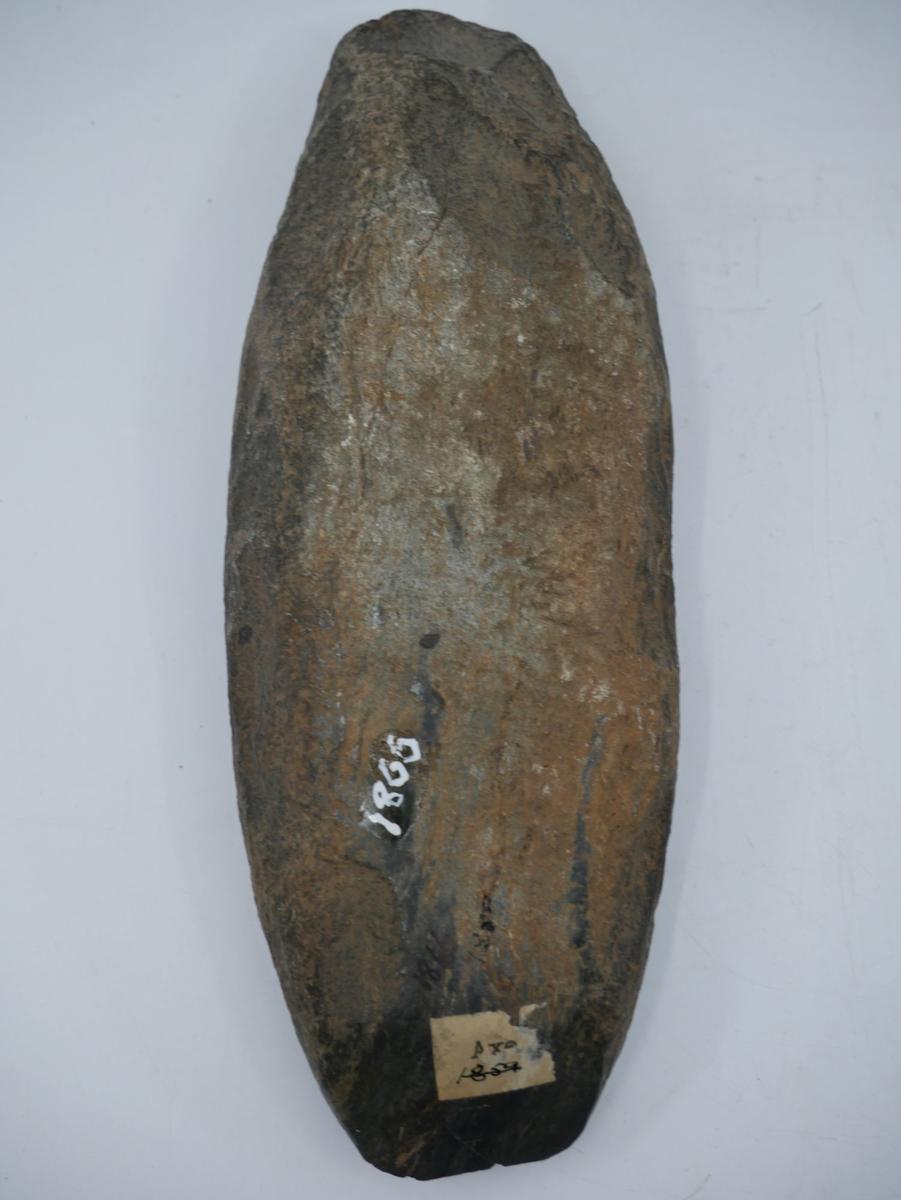 Ground edge axe - Faculty of Medicine, Dentistry and Health Sciences ...