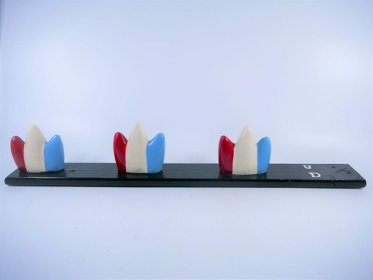 Teaching model of tritubercular teeth. Upper distal - Faculty of ...