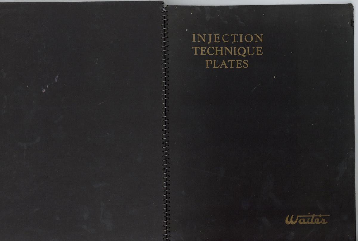Injection Technique Plates - Faculty of Medicine, Dentistry and Health ...