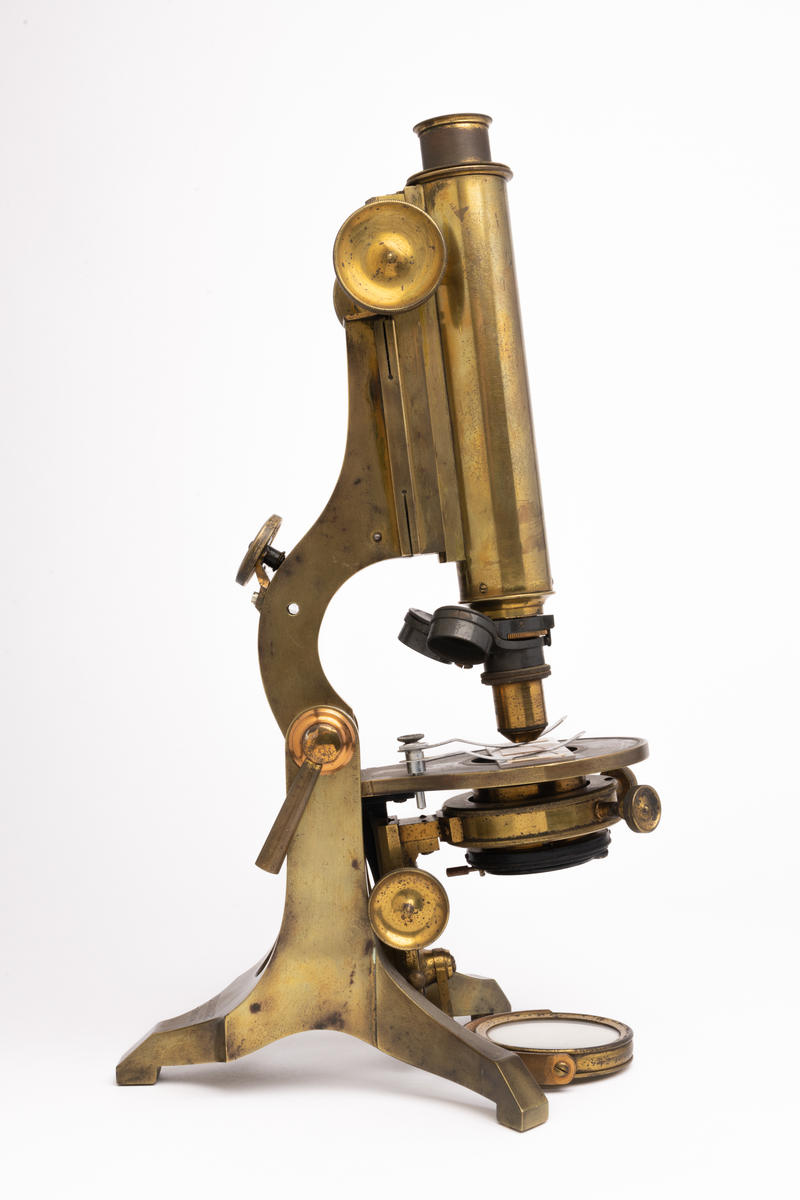 Zacharias Janssen Mikroskop The History Of The Microscope: An In Depth