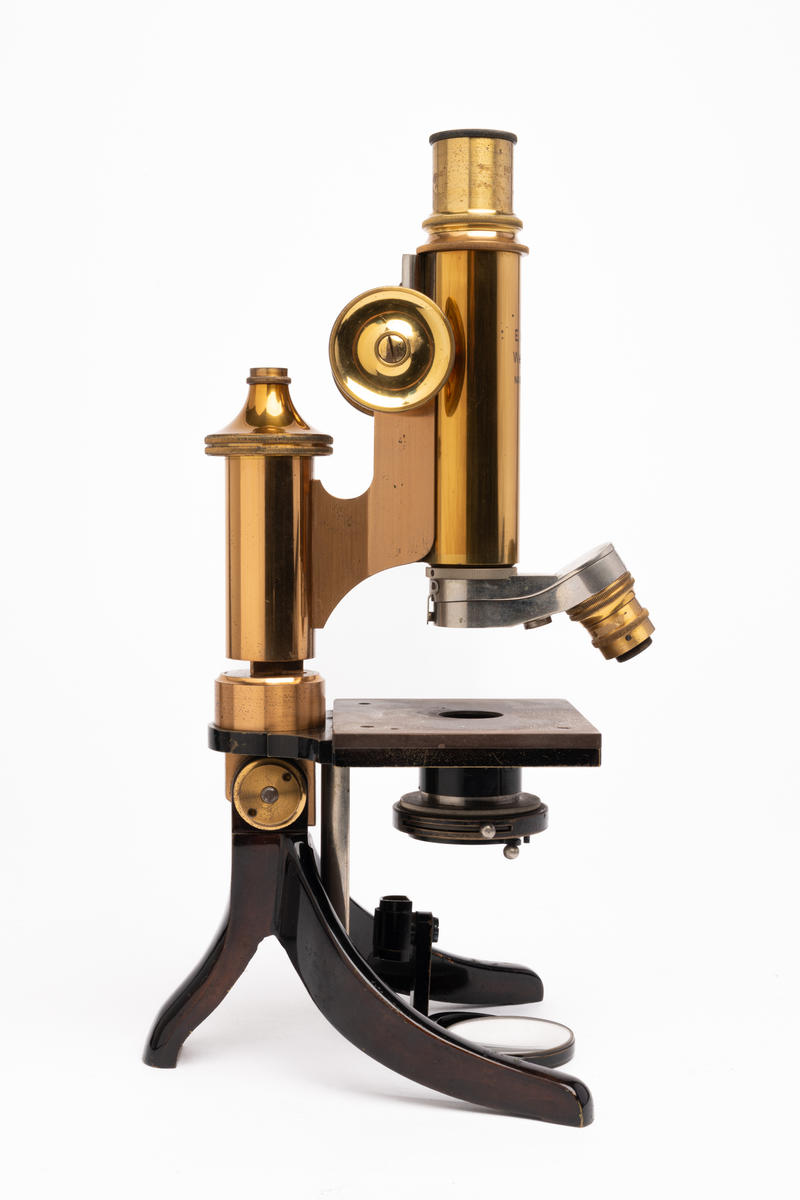 Compound monocular microscope - Faculty of Medicine, Dentistry and ...