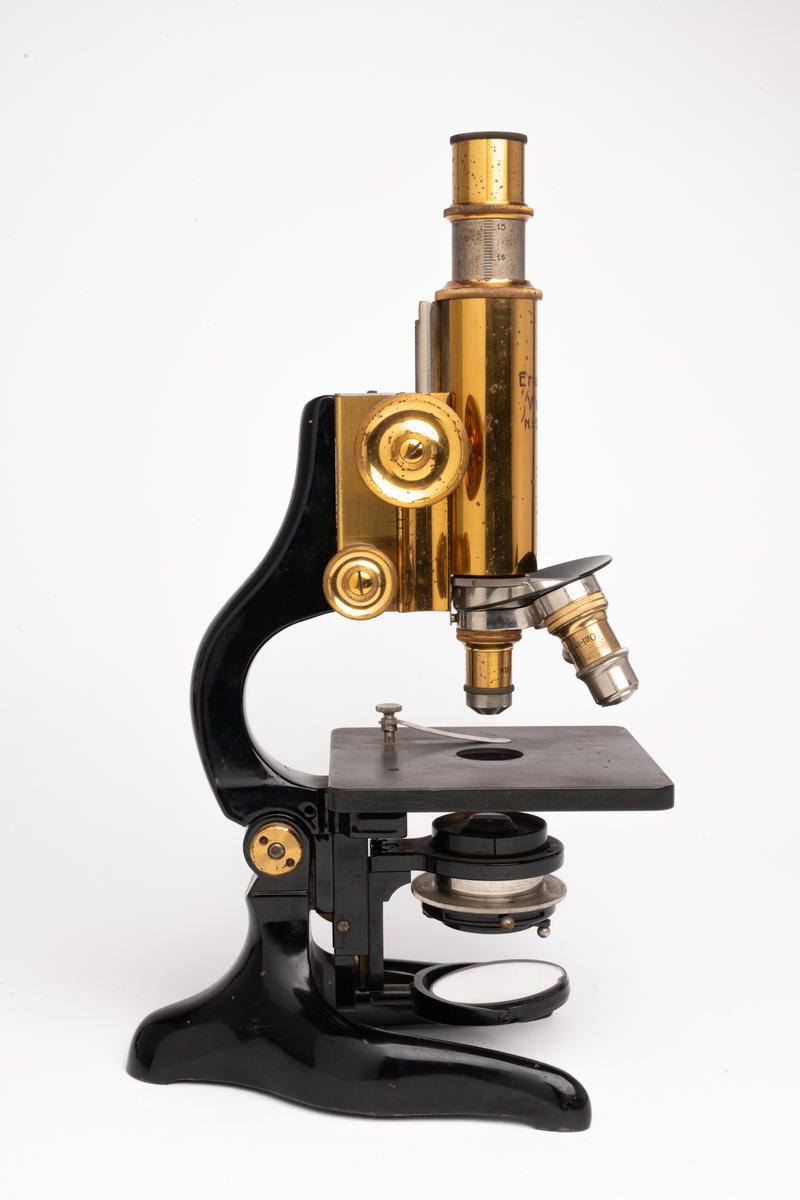 Monocular microscope in case - Faculty of Medicine, Dentistry and ...