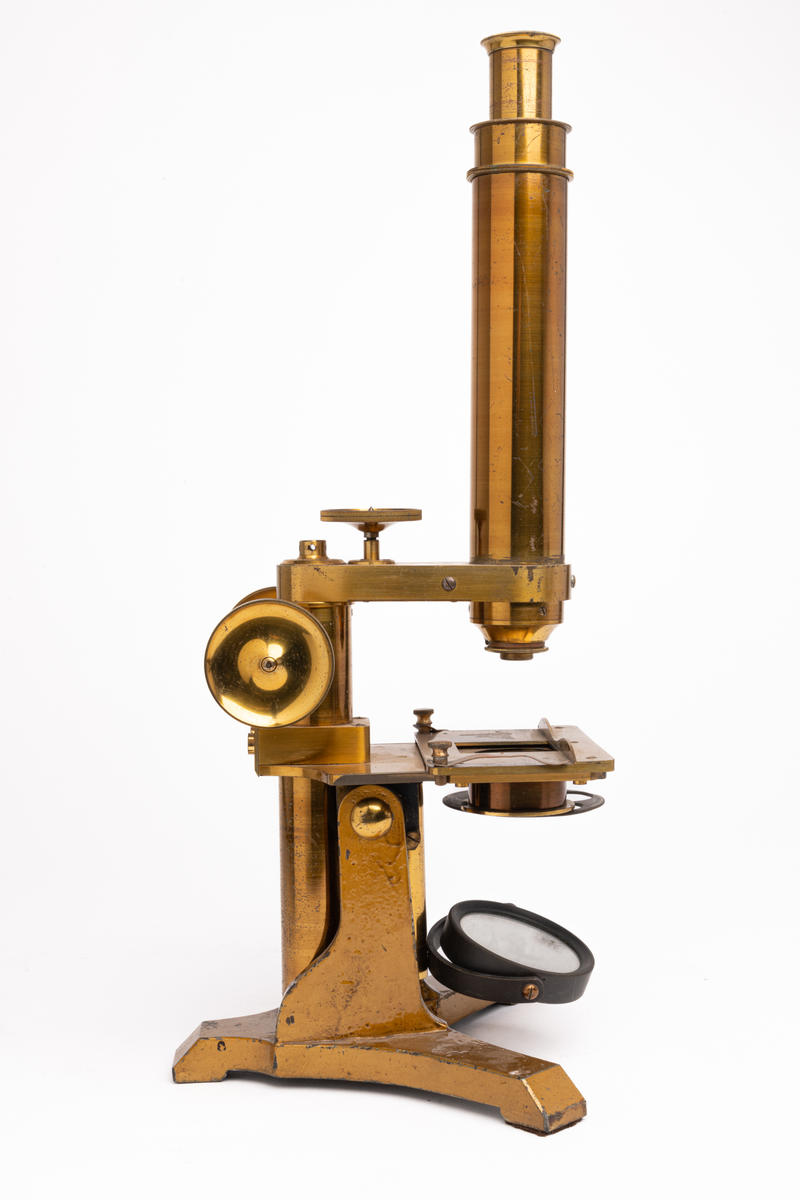 Compound monocular microscope - Faculty of Medicine, Dentistry and ...