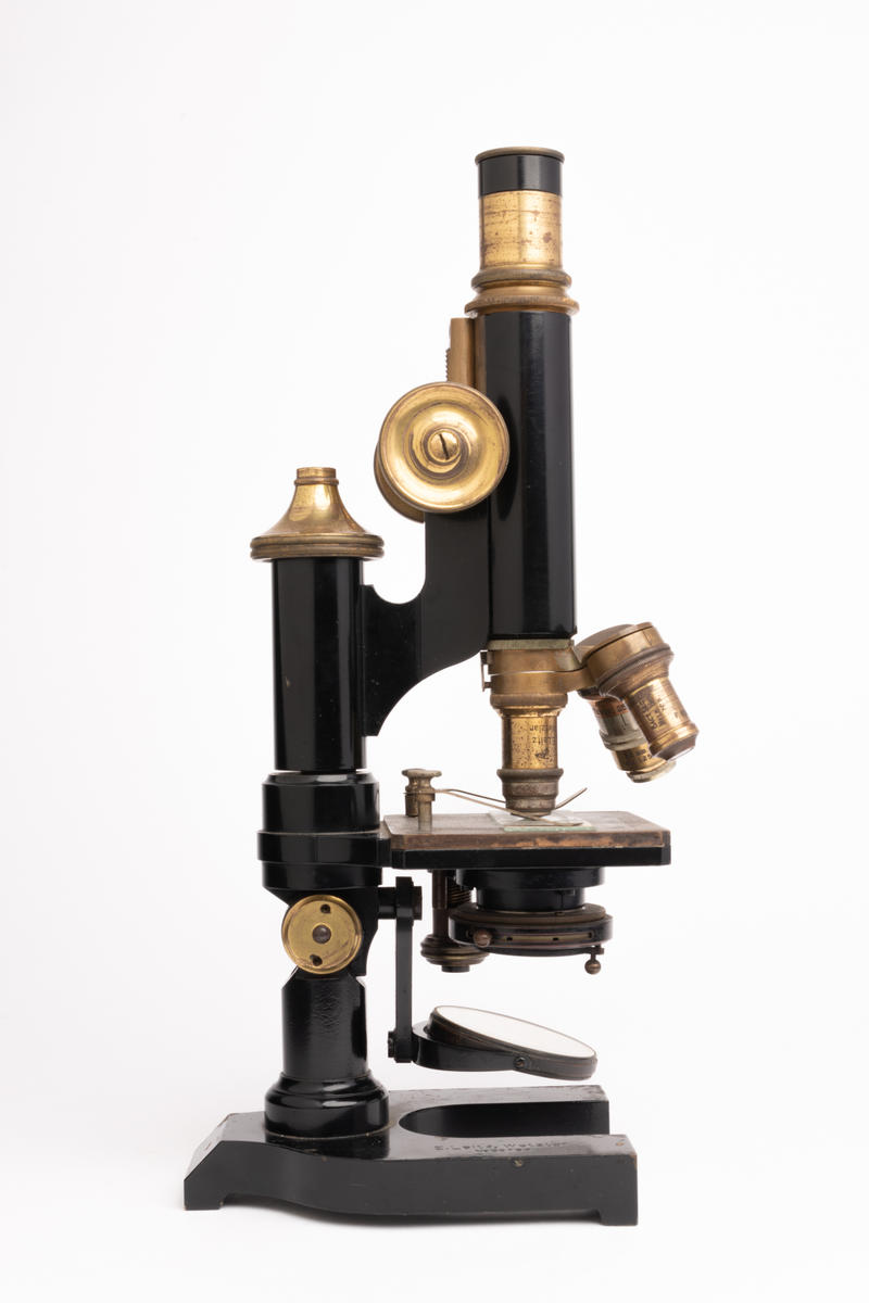 Monocular microscope and slide - Faculty of Medicine, Dentistry and ...