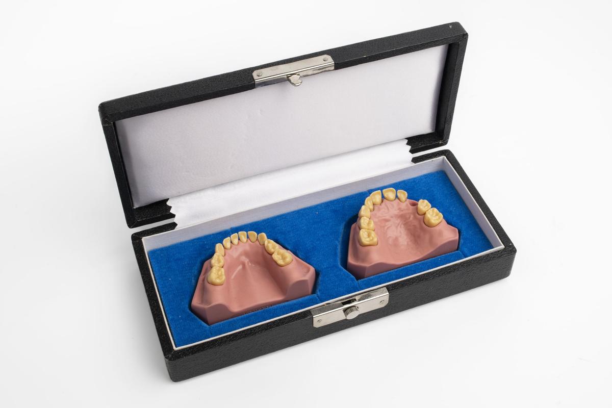 Pedodontic Study Models, Primary upper and lower, in original case ...