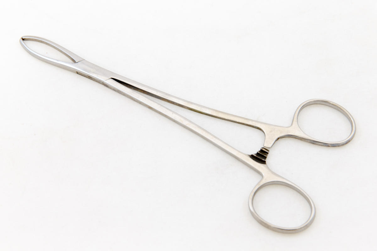 Morrisons Tissue Forceps - Faculty of Medicine, Dentistry and Health ...