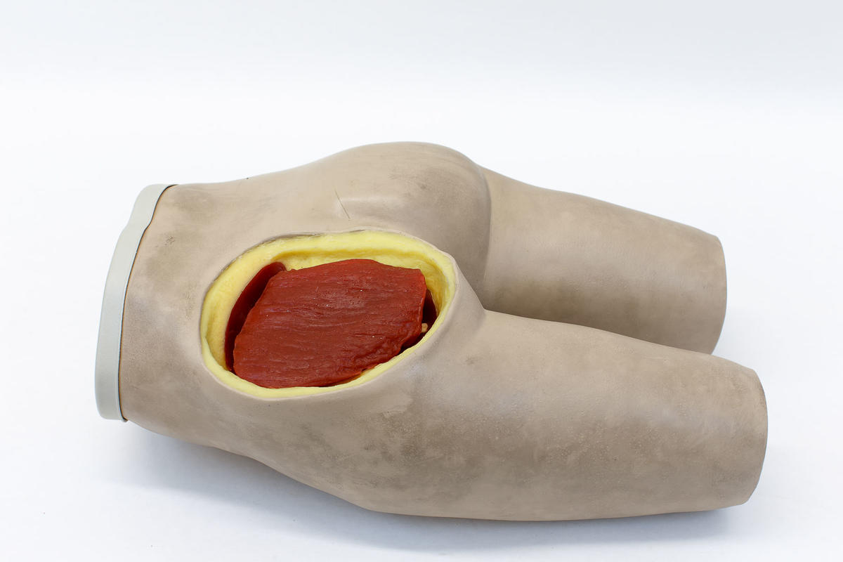 Life Form Manikin - Intramuscular Injection Simulator - Faculty of ...