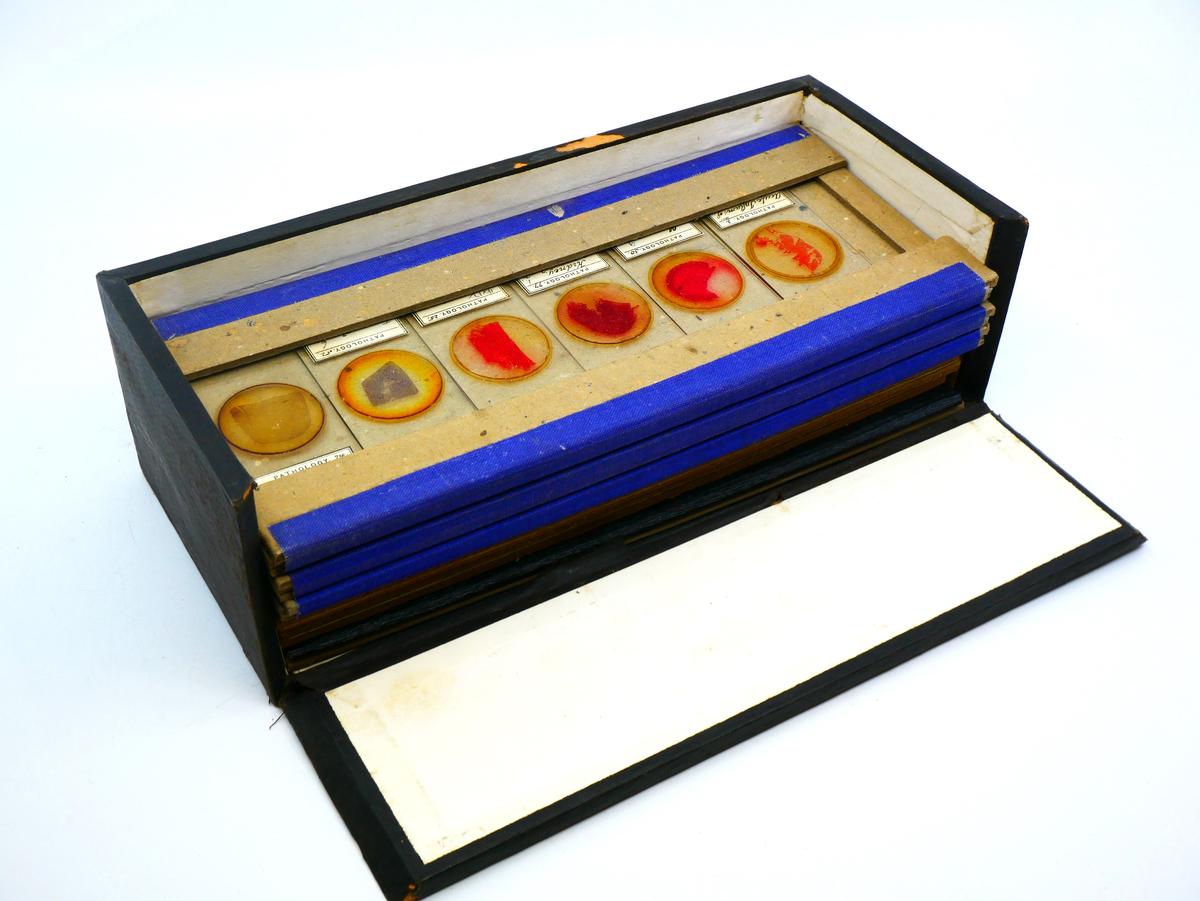 Set of tissue pathology slides prepared Dr S.H Heald when a student in ...