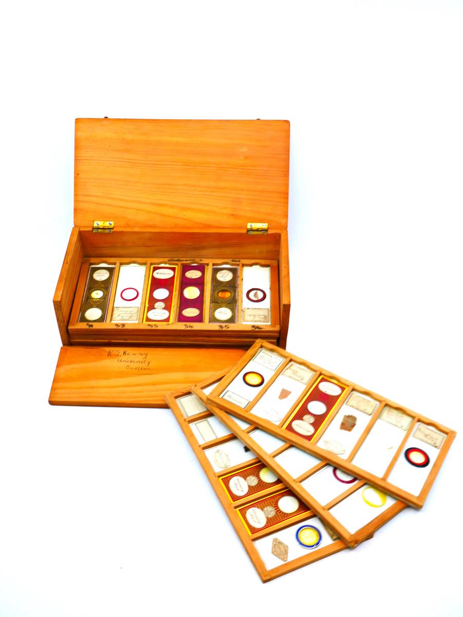 Diagnostic slides: Human, animal and vegetable tissue samples, in ...