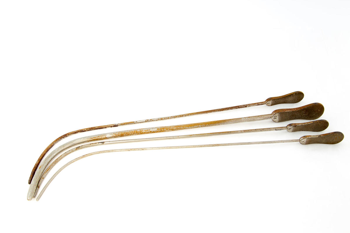 Urethral sound - Faculty of Medicine, Dentistry and Health Sciences ...