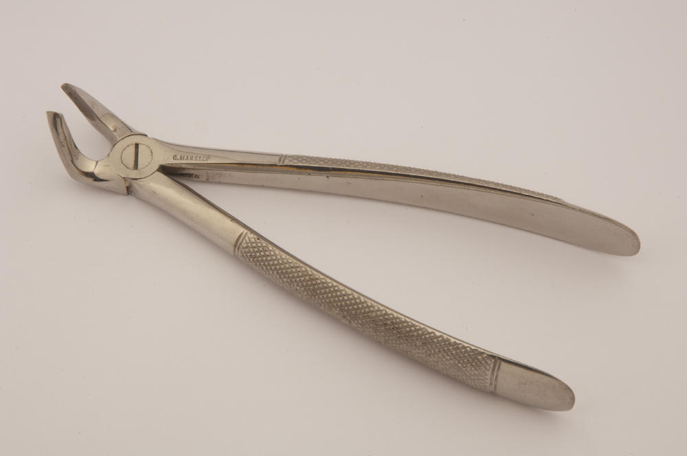 Lower bicuspid extracting forceps - Faculty of Medicine, Dentistry and ...