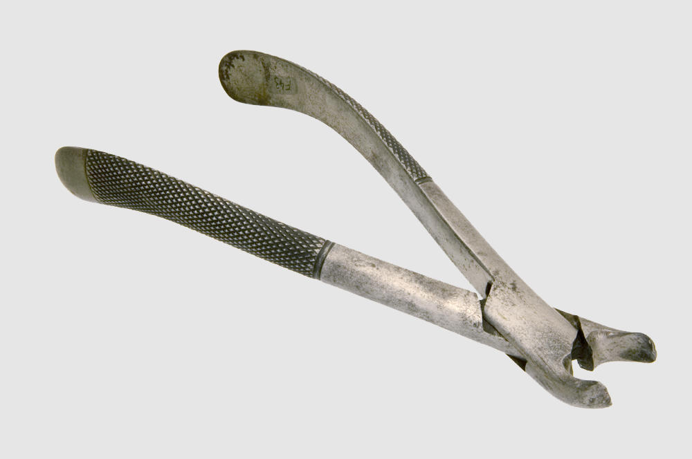 Upper right molar extracting forceps - Faculty of Medicine, Dentistry ...