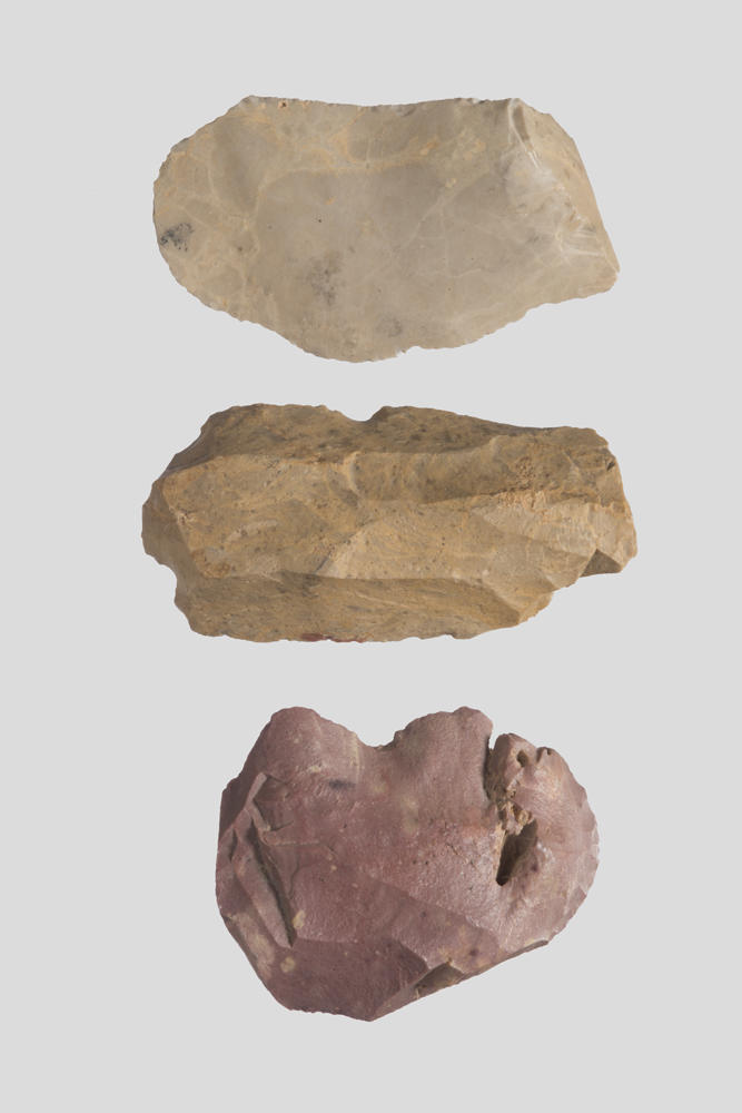 End scrapers - Faculty of Medicine, Dentistry and Health Sciences ...