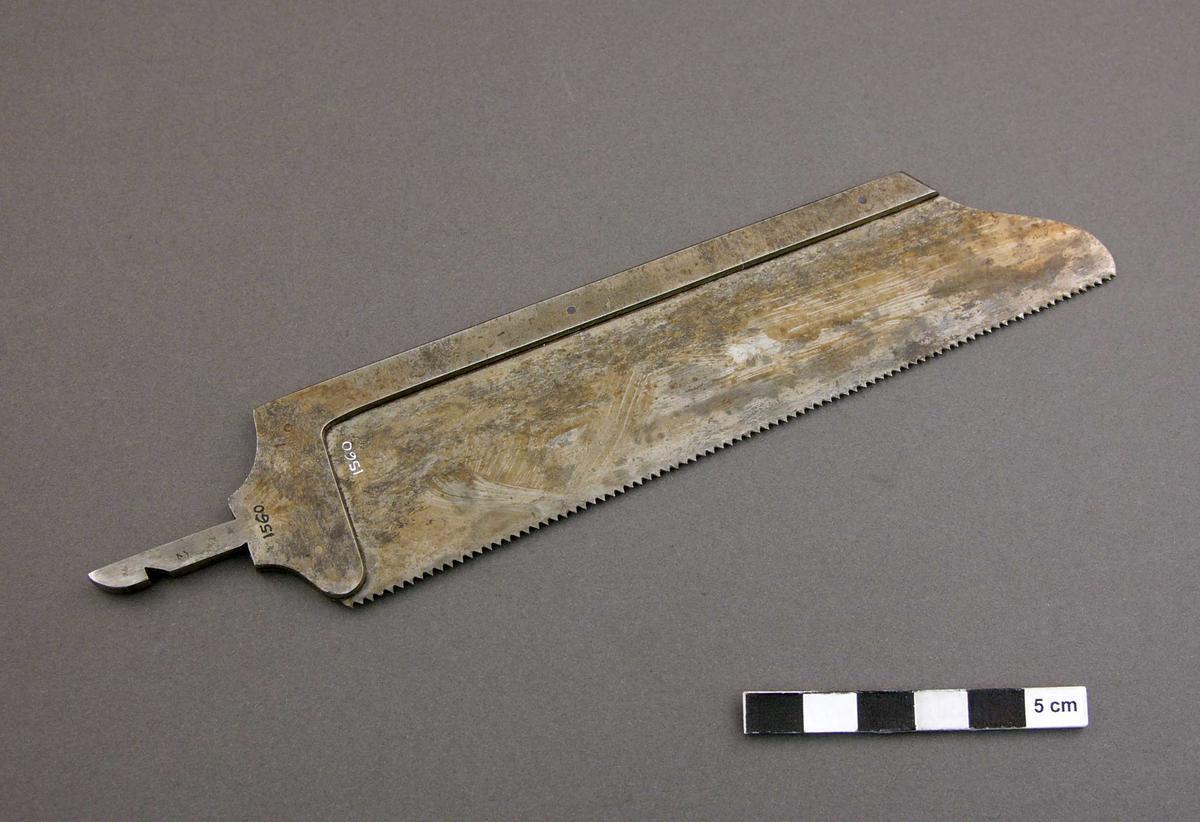 Saw: amputation saw with curved head, reinforced spine - Faculty of ...