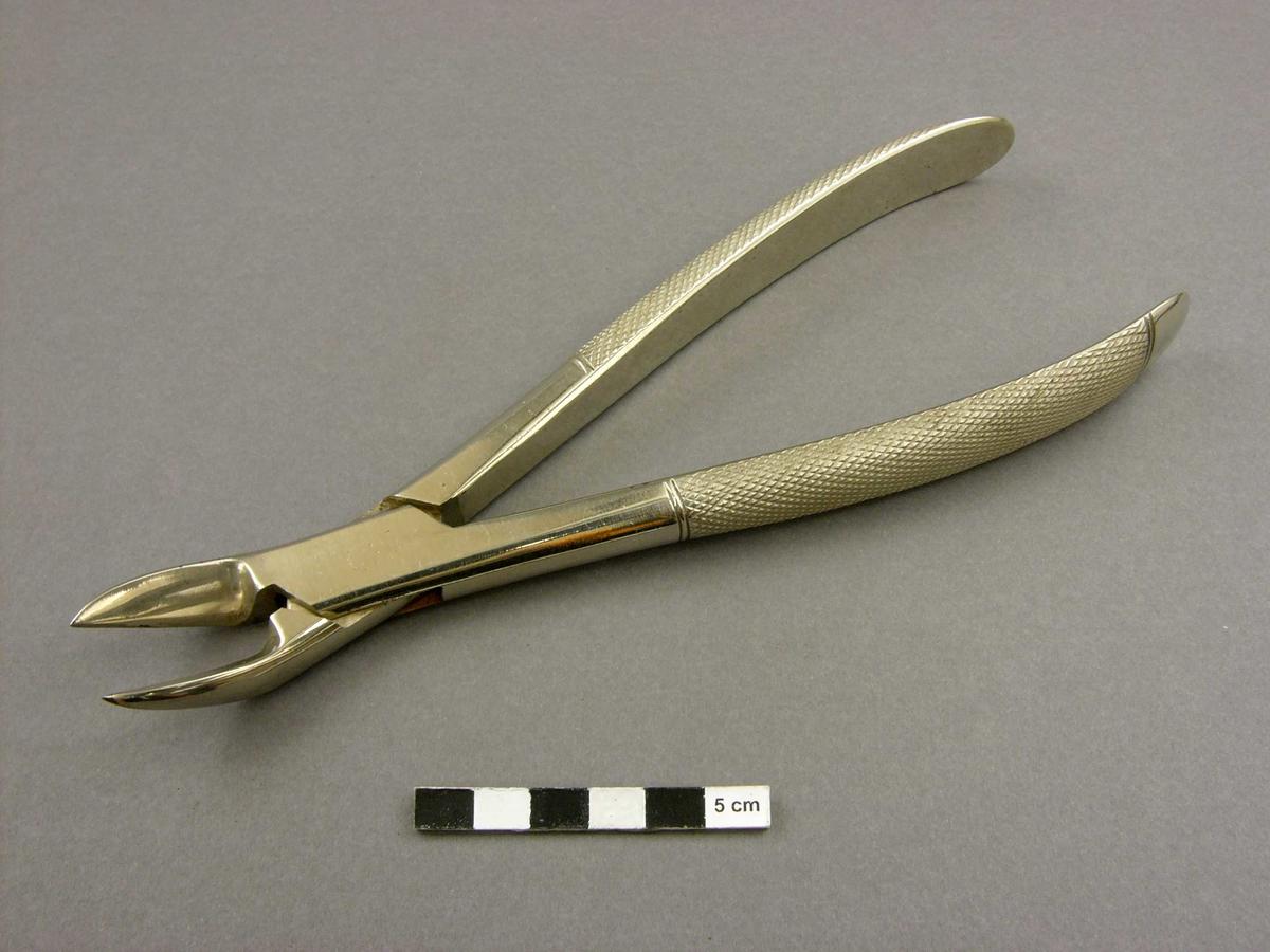 Forceps: bone forceps with blades angled upwards - Faculty of Medicine ...