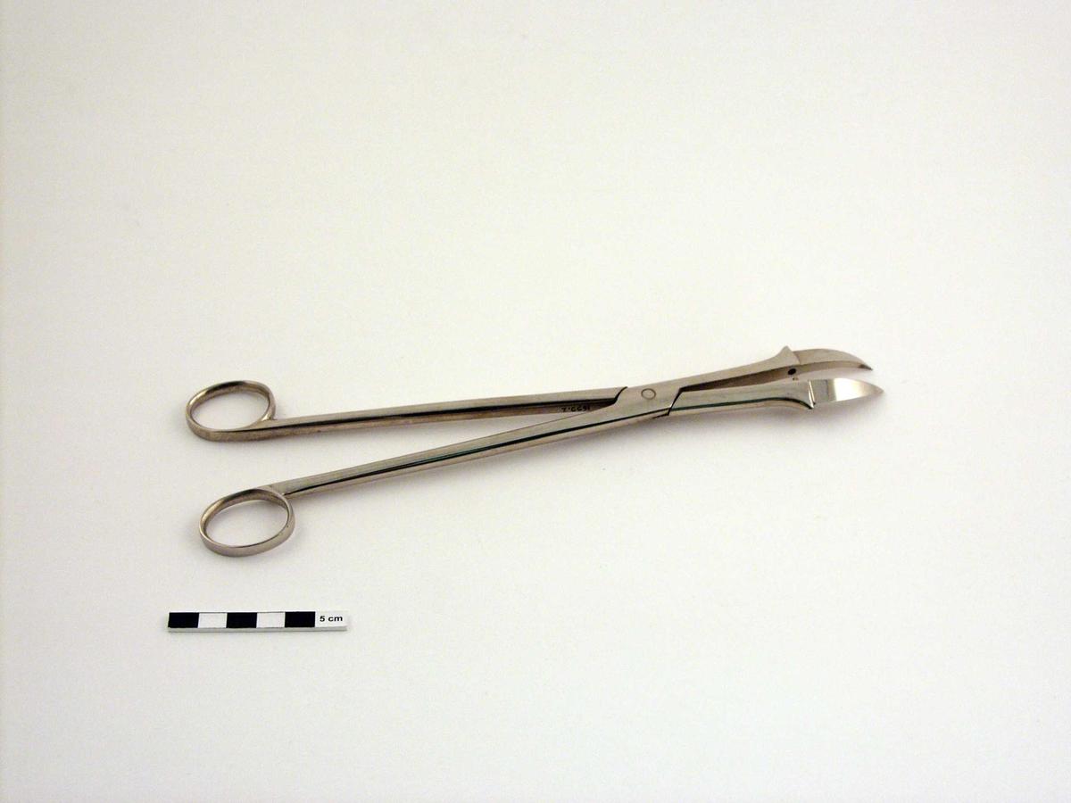 Denman's perforator - Faculty of Medicine, Dentistry and Health ...