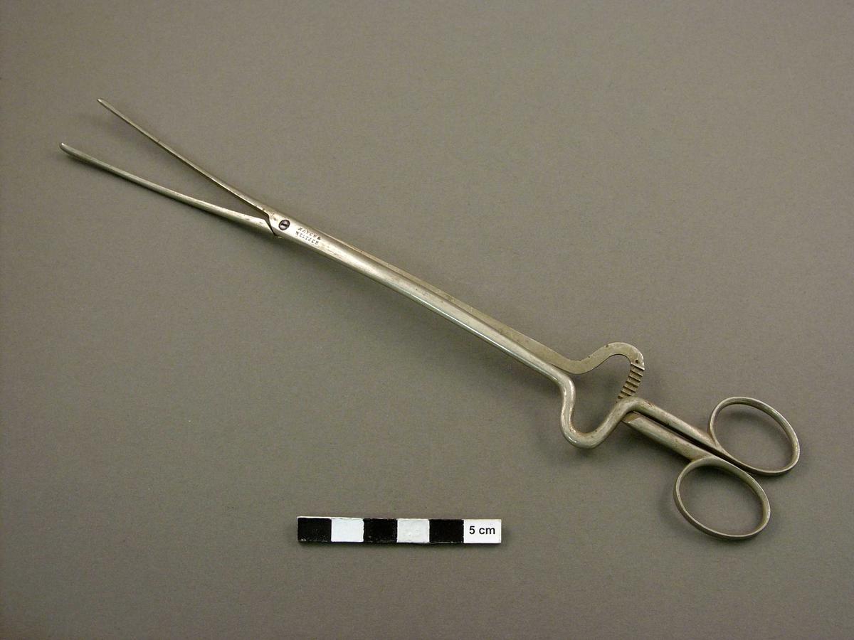 Forceps: Collins' uterine dilating forceps - Faculty of Medicine ...