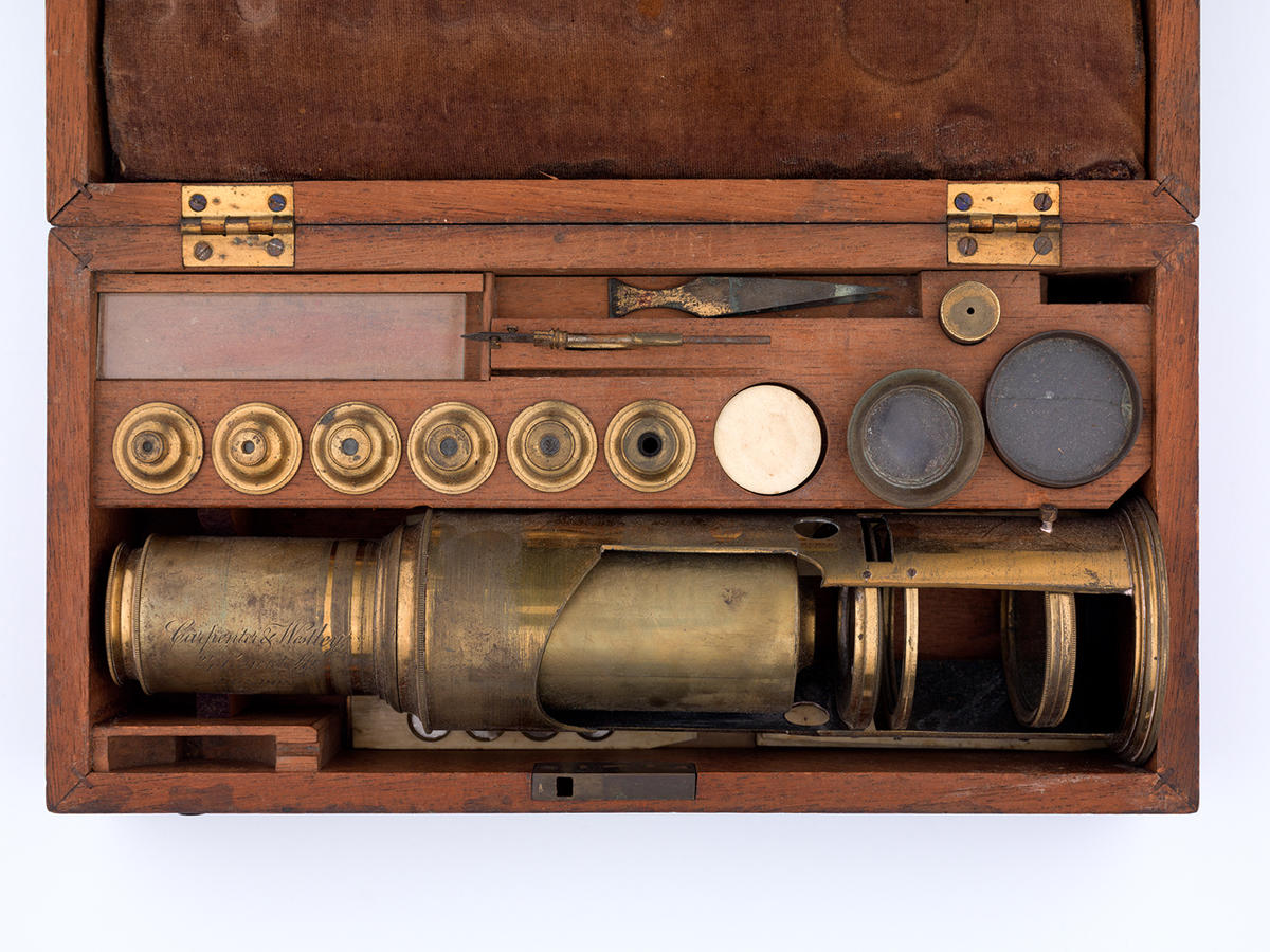 Martin Drum microscope - Faculty of Medicine, Dentistry and Health ...