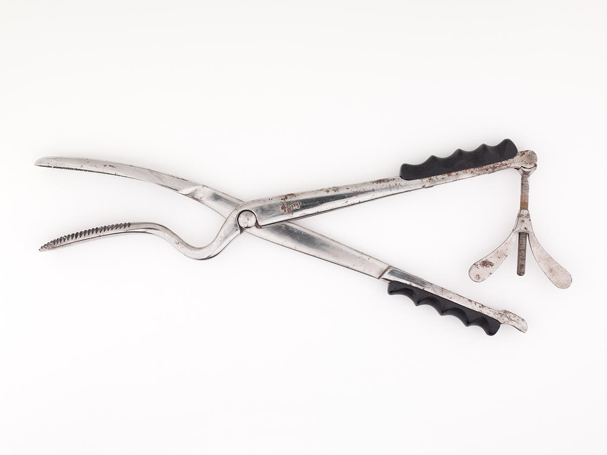 Craniotomy Forceps - Faculty of Medicine, Dentistry and Health Sciences ...